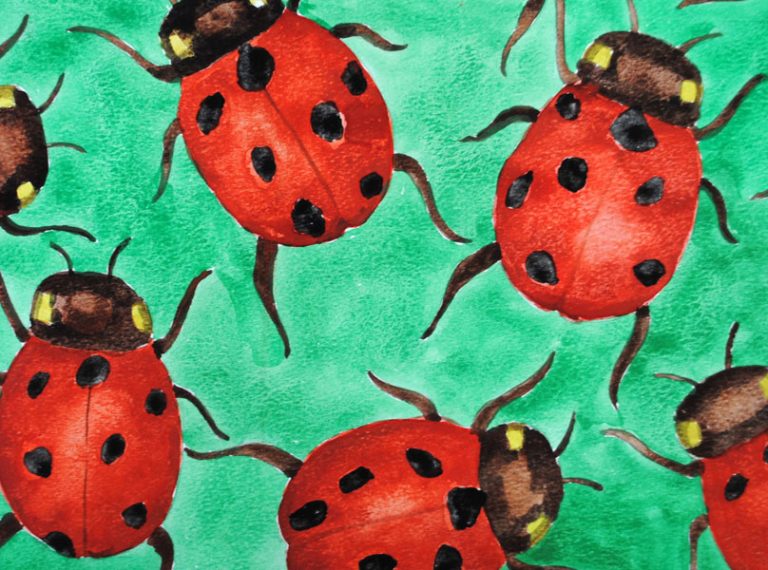 Ladybird Pattern art and products