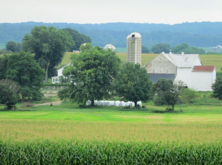 A Snapshot of Amish Countryside